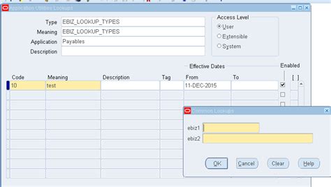 oracle apps extending lookups ebiz integration technics