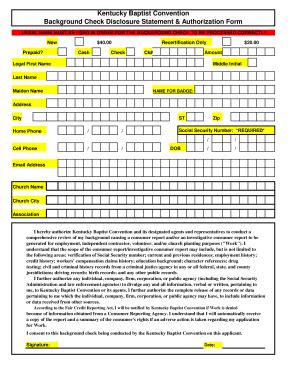 Fillable Online Background Check Disclosure Statement Authorization