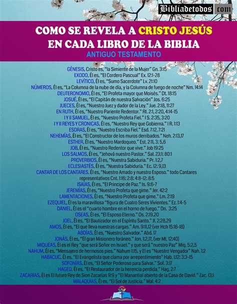 Cómo se revela Cristo Jesús en cada libro de la Biblia Libros de la