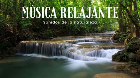 MÚSICA RELAJANTE con sonidos de la naturaleza para dormir YouTube