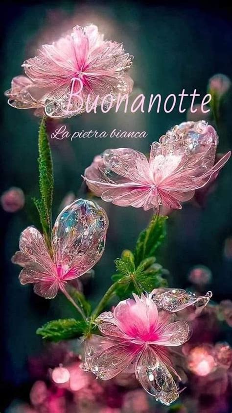 Pin Di Filippa Criasia Su Buonanotte Auguri Di Buona Notte