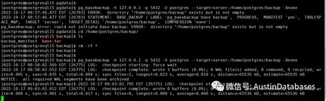 POSTGRESQL 15 pg basebackup 新功能LOCAL backup 与 数据强力压缩 腾讯云开发者社区 腾讯云