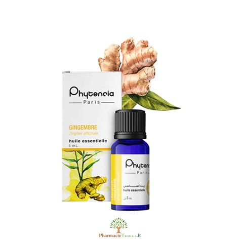 Gingembre Zingiber Officinalis Livraison partout en Algérie