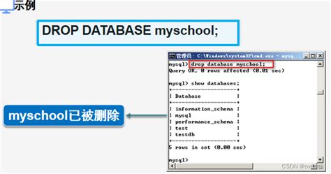 初识mysql csdn博客