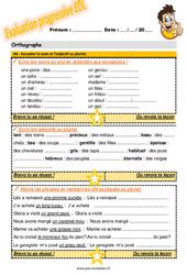 Accord de l adjectif qualificatif CM2 Exercice évaluation révision