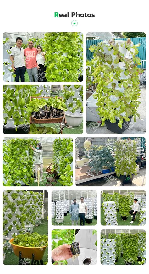 New Holes Oem Vertical Farming Garden Vertical Hydroponic