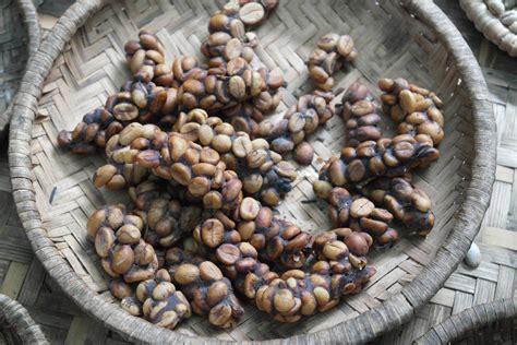 El Caf M S Caro Del Mundo Descubre Su Origen Y Sabor Nico Latazadecafe