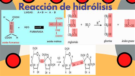 Que Es La Hidrolisis