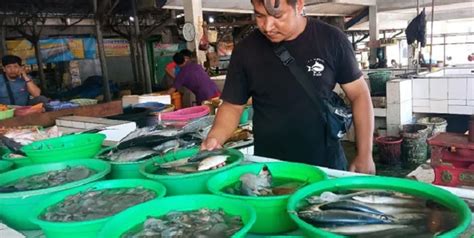 Produksi Perikanan Tangkap Di Natuna Capai Rp2 8 Triliun Selama 2021