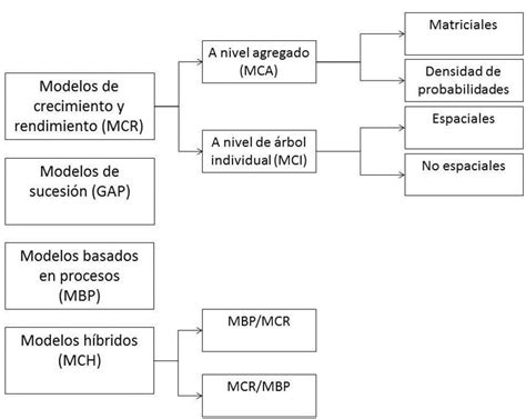 Esquema de clasificación de los modelos de crecimiento de bosques