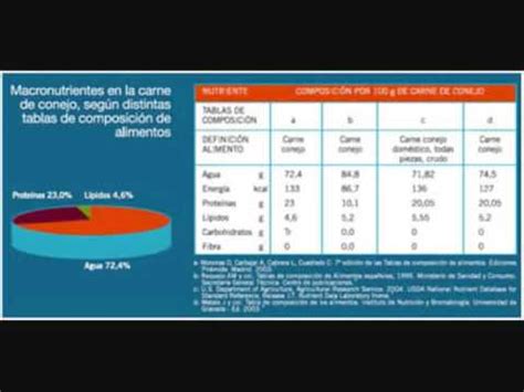 Descubre La Tabla Nutricional De Pescados Y Carnes Un Informe