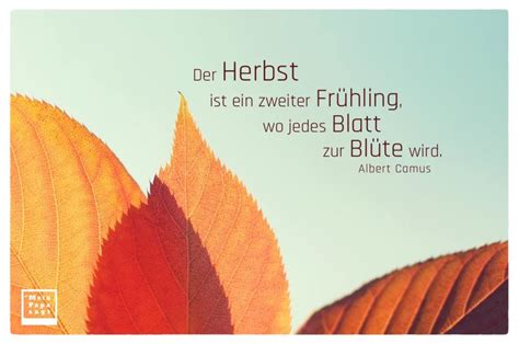 35 Ein Schöner Spruch Über Den Herbst perfekte jahreszeit um es