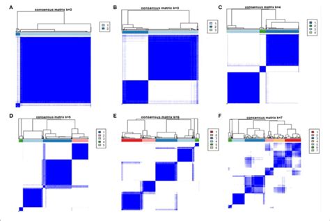 heatmap of merged consensus matrix for two clusters h