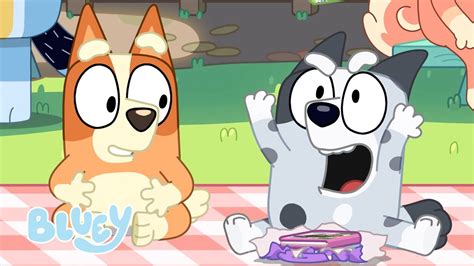 Regras do Jogo Episódio Completo Bluey Português Brasil Canal