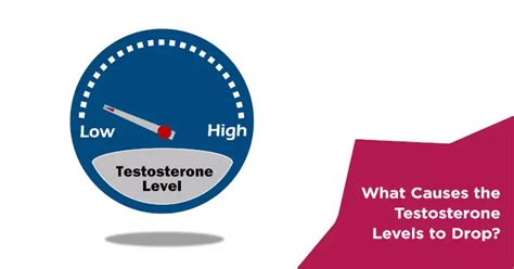 Low Testosterone Causes The Most Common Reasons Nova IVF Fertility