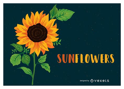 Vectores Gráficos de girasol para descargar