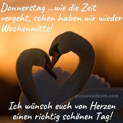 Herz guten morgen donnerstag bild Schwäne kostenlos