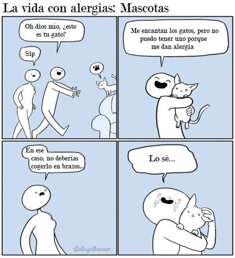 Mascotas Meme Subido Por Danielcorzogo Memedroid