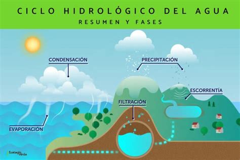 Ciclo Hidrológico del Agua Descubre sus Fases y la Importancia en la