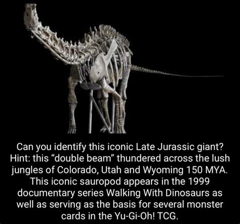 Can You Identify This Iconic Late Jurassic Giant Hint This Double