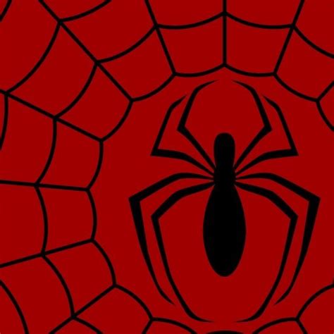 A relação entre leitores e autores nos quadrinhos do Homem Aranha
