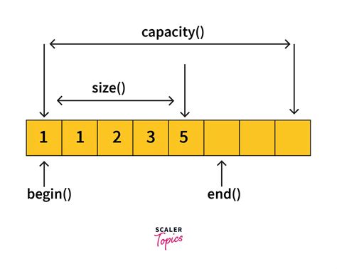 vector in c c vector scaler topics