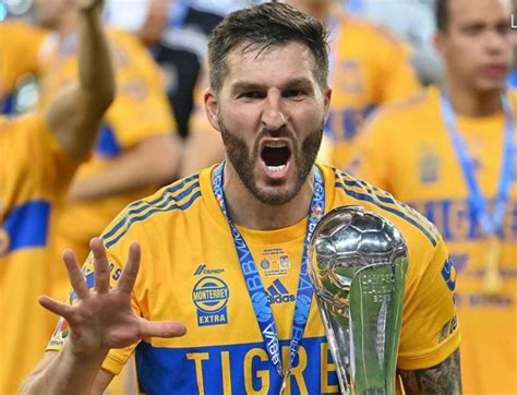 Tigres rebasa a Pumas con más títulos de la Liga MX Diario Basta
