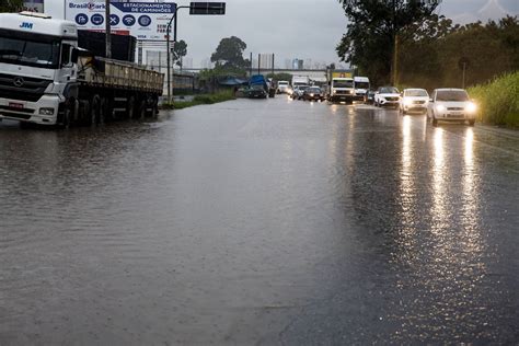 Chuva derruba árvores e causa transtornos ao paulistano 30 01 2020