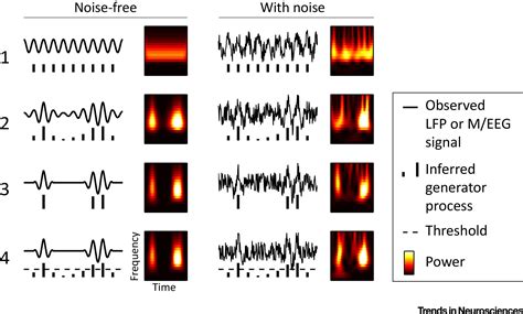 neural oscillations sustained rhythms or transient burst events trends in neurosciences