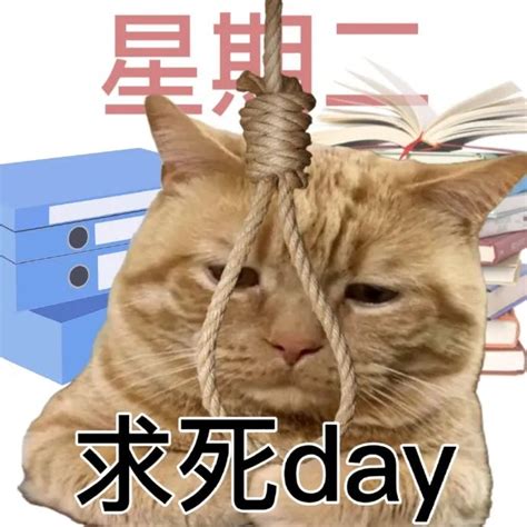 打工人一周小猫上班心情搞笑逗gif动图 动态图 表情包下载 SOOGIF