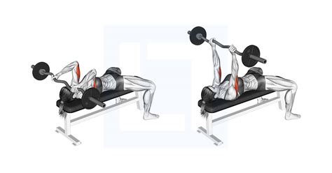 Dumbbell Squeeze Bench Press Guide Benefits And Form