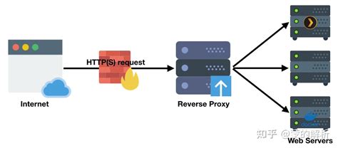 tomcat 与 nginx，apache的区别是什么？ 知乎