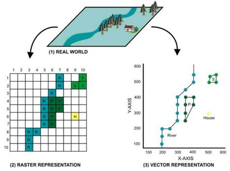 12 GIS Vector Raster Images Vector And Raster Data GIS Vector And
