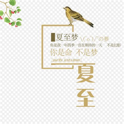 夏至文字排版PNG图片素材下载 图片编号9958237 PNG素材网