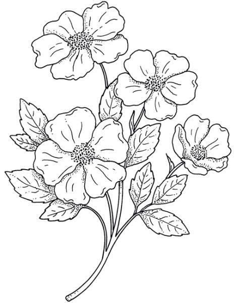 Dibujos De Flores Hermosas Para Colorear Dibujos De Colorear