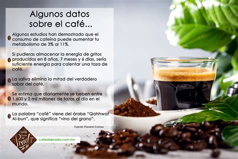 Datos Curiosos Caf Cafe Baristas