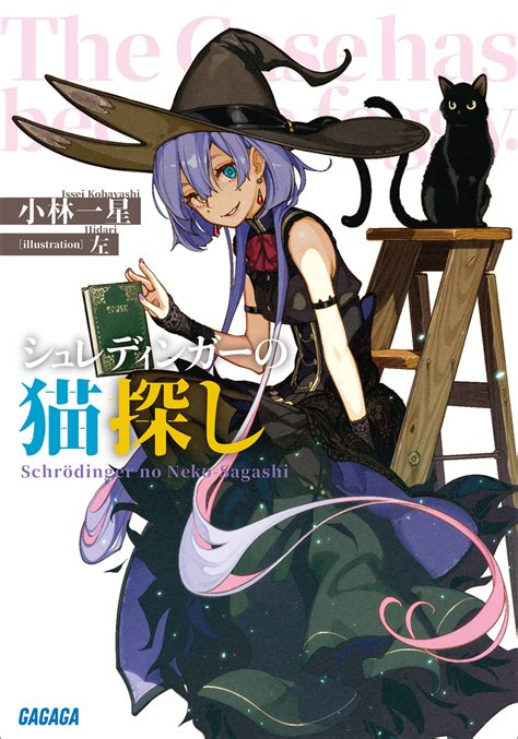 Homura Schrödinger no Neko Sagashi Image by Hidari 3049712