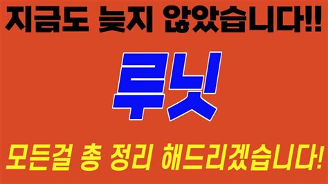 주식 루닛 지금도 늦지 않았습니다 모든걸 총 정리 해드리겠습니다 YouTube