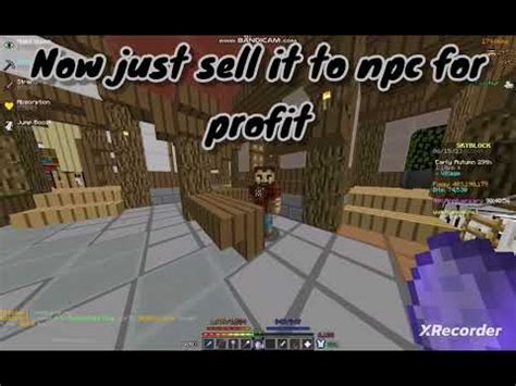 Hypixel Skyblock Easy And Efficient Bazaar Flip YouTube