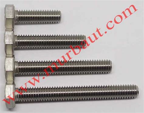Mur Baut Baut Stainless 316 M6 X 65mm Full Drat