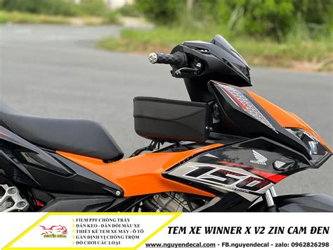 Top nhiều hơn 96 winner cam đen kiểng siêu hot thuvientinhoc edu vn