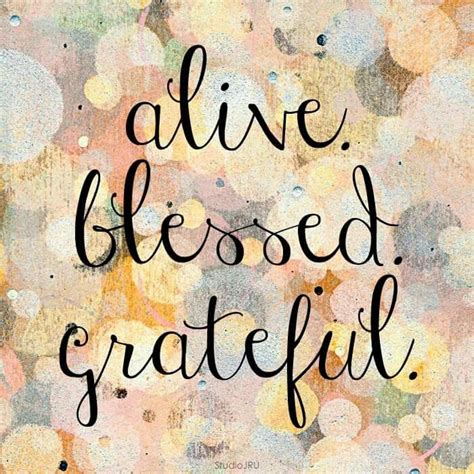 Alive Blessed Grateful Blessed Quotes Grateful Quotes Thankful Quotes