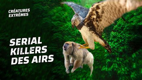 Cet Aigle Est Une Montagne De Muscles Youtube