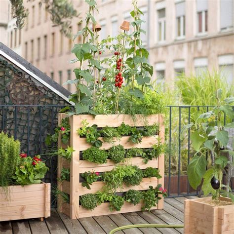 Marzua Cómo crear un huerto urbano en su terraza o balcón