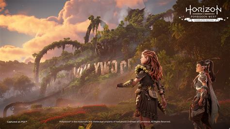 Horizon Forbidden West Complete Edition B L N Pc V O U N M
