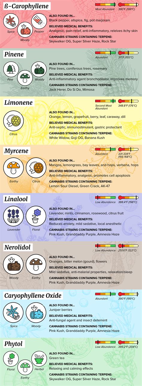 Terpene Benefits Chart