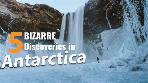 Bizarre Discoveries In Antarctica