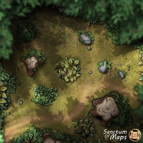 FOREST PATH Battle Map Dnd Battle Map D D Battlemap Dungeons And