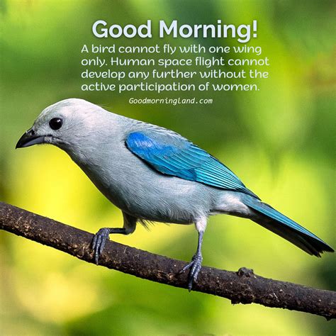 Share Good Morning Birds Images With Your Loved Ones 2021 Good