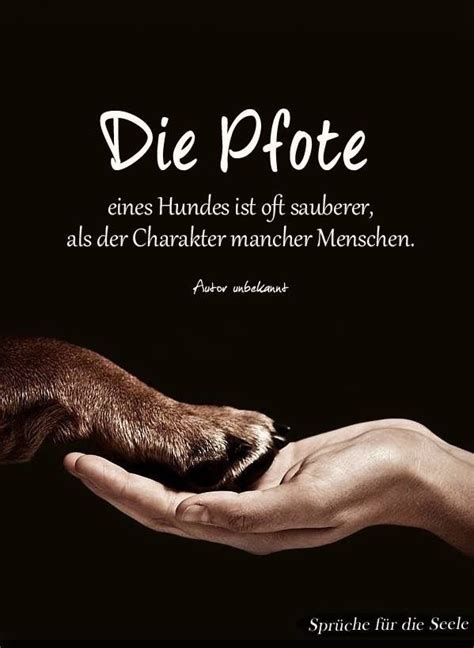 33 Kurze Hundevertrauen Sprüche liebe hunde uns schenken und
